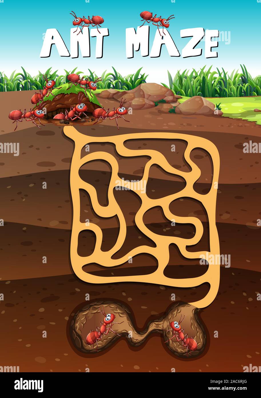 Landscape design with ants underground illustration Stock Vector Image ...