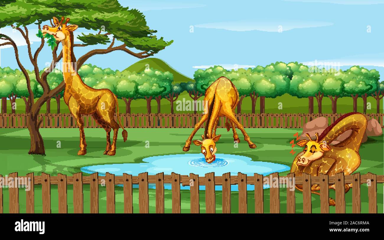 Scene with giraffes in the zoo illustration Stock Vector Image & Art ...