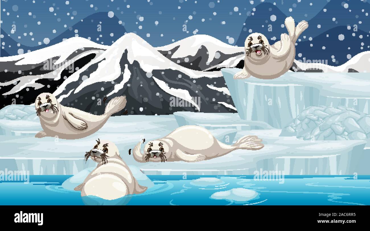Scene with snow seals on ice illustration Stock Vector Image & Art - Alamy