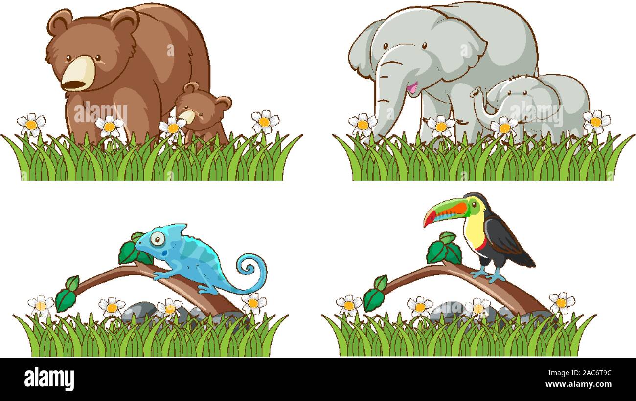 Types of animals Cut Out Stock Images & Pictures - Alamy