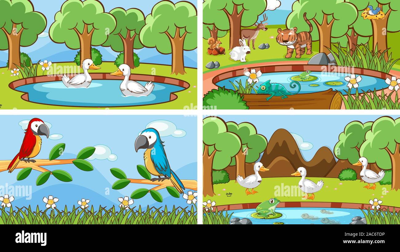 Background scenes of animals in the wild illustration Stock Vector ...