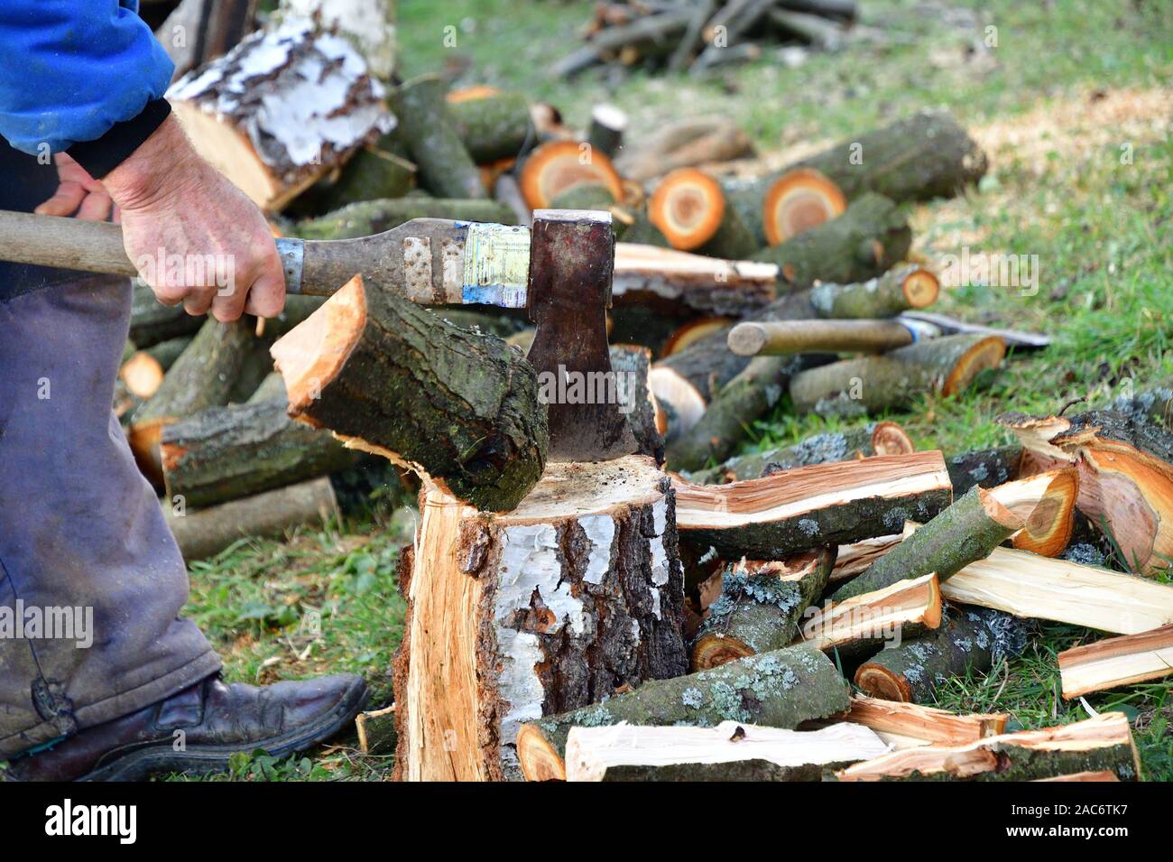 Splitting wood with an ax into smaller logs in traditional way Stock ...