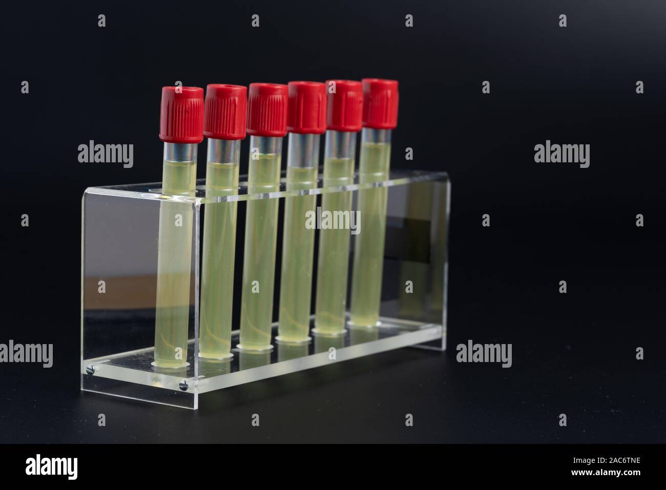 Test tubes with chemical samples in science laboratory Stock Photo - Alamy