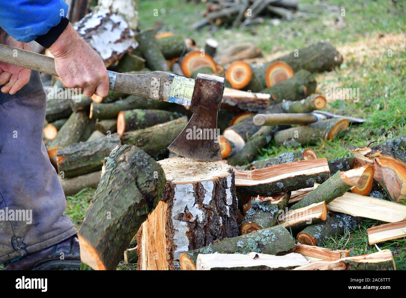 Traditional way of chopping wood with an ax in the village Stock Photo ...