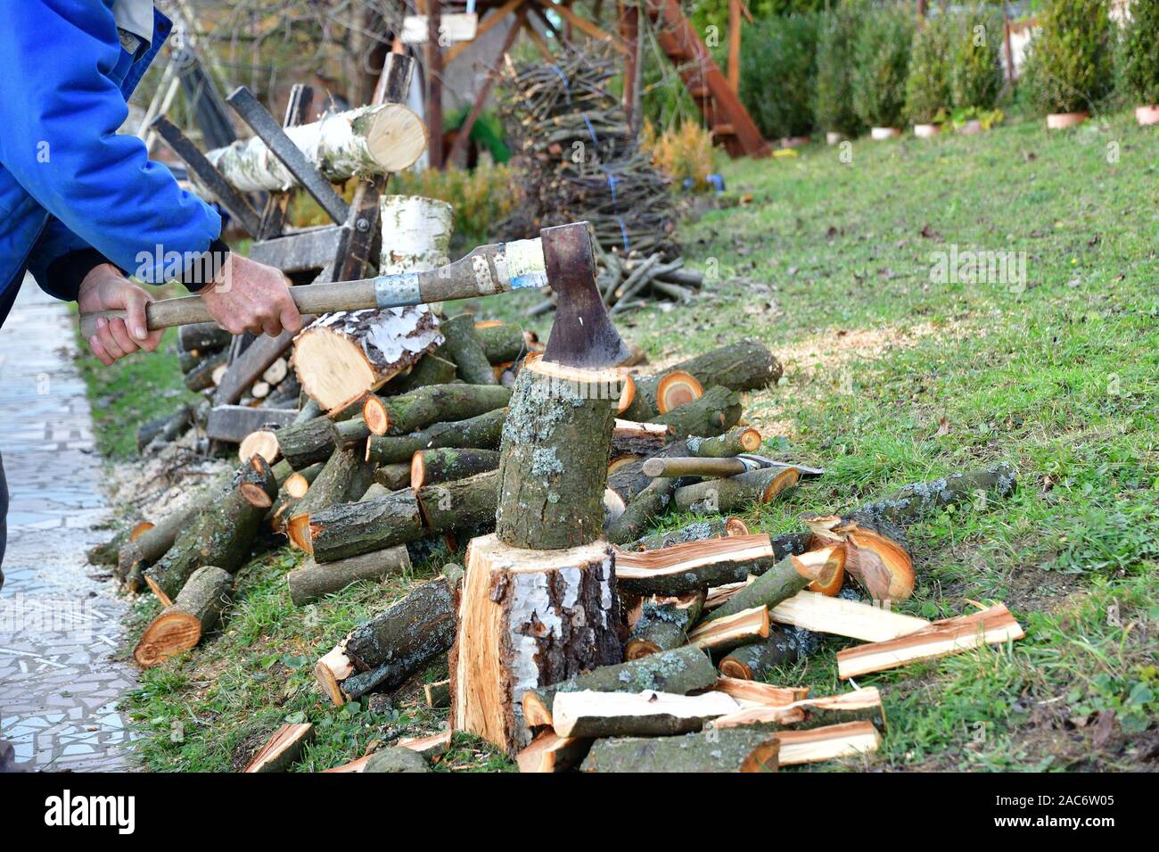 Traditional way of chopping wood with an ax in the village Stock Photo ...