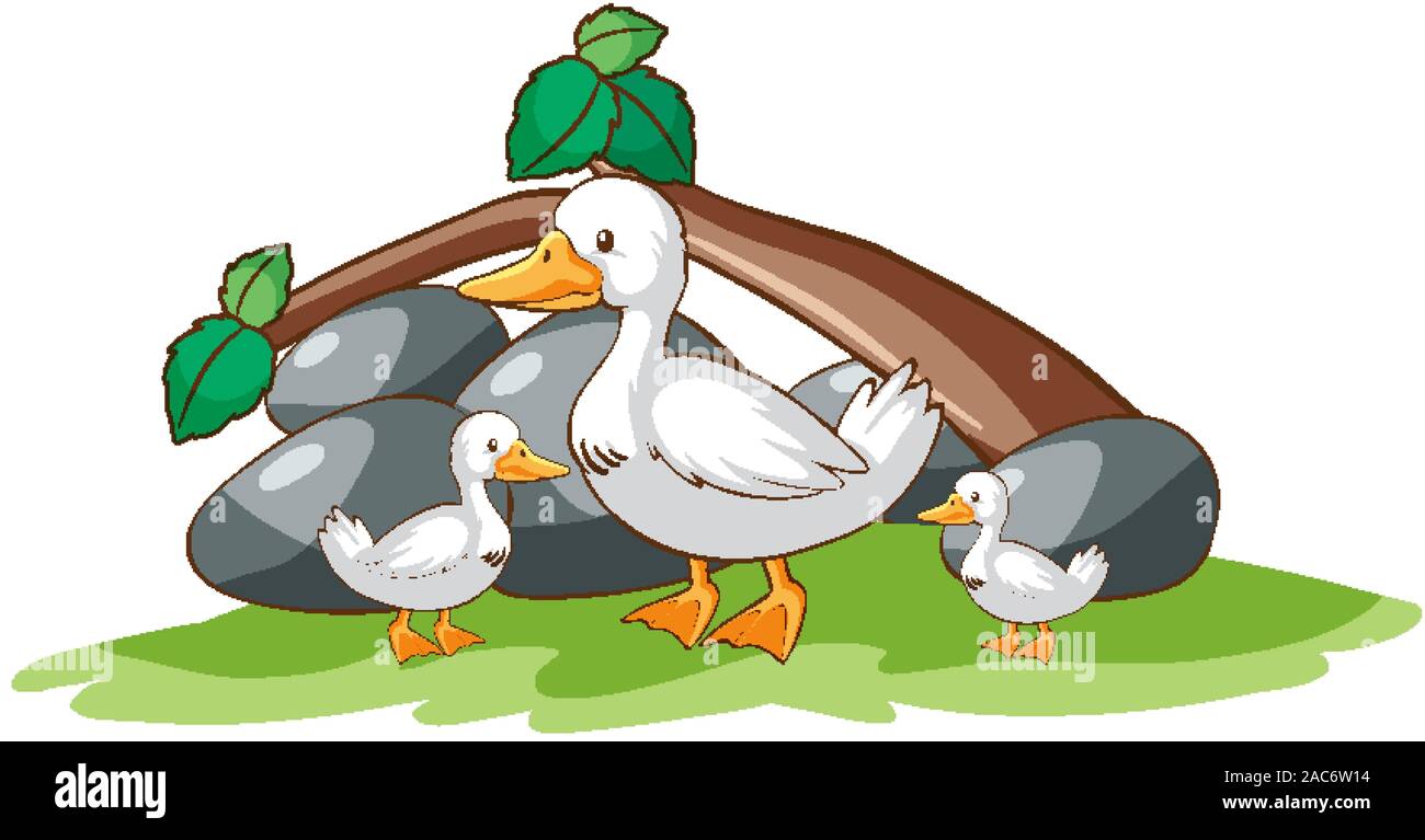 Bird and rocky background Stock Vector Images - Alamy