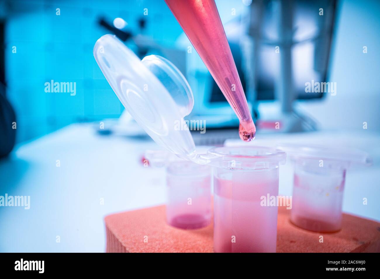 sample of biological sample for DNA analysis Stock Photo - Alamy