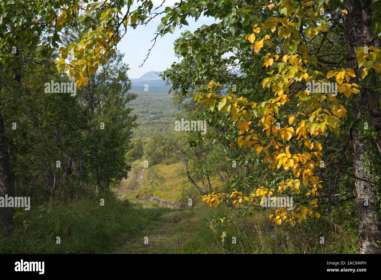 View of down land, mountains and a track, path in the hillside, terrain ...