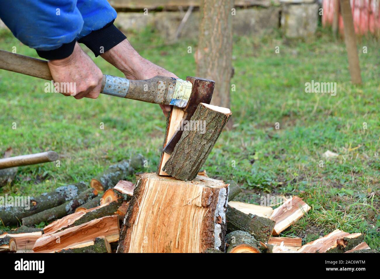Splitting wood with an ax into smaller logs in traditional way Stock ...