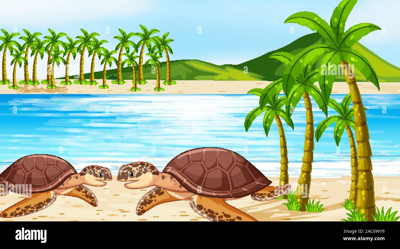 Scene with two sea turtles on the beach illustration Stock Vector Image ...