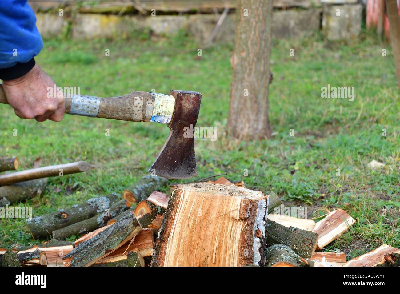 Traditional way of chopping wood with an ax in the village Stock Photo ...