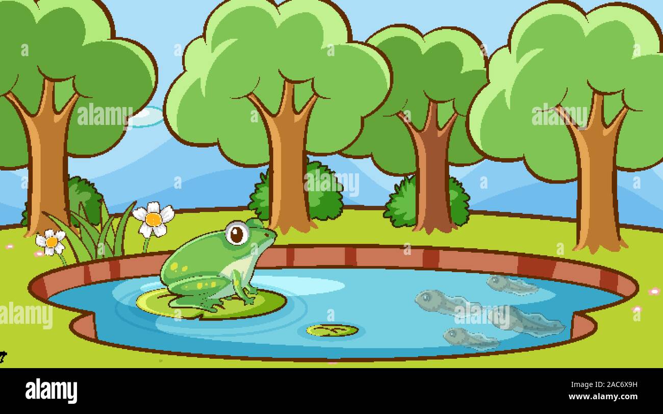 Scene with green frog in the pond illustration Stock Vector Image & Art ...