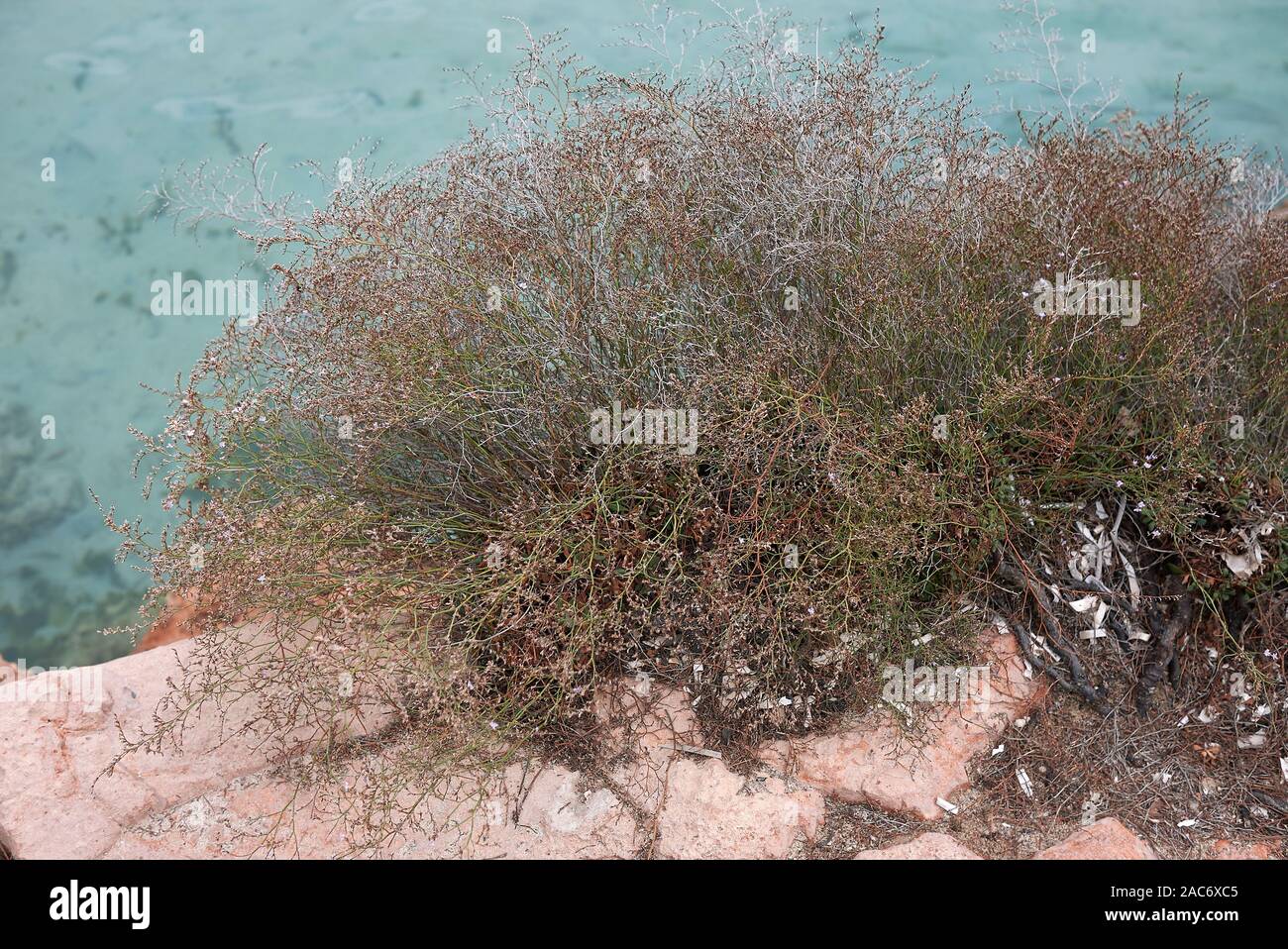 Cliff marsh hi-res stock photography and images - Alamy