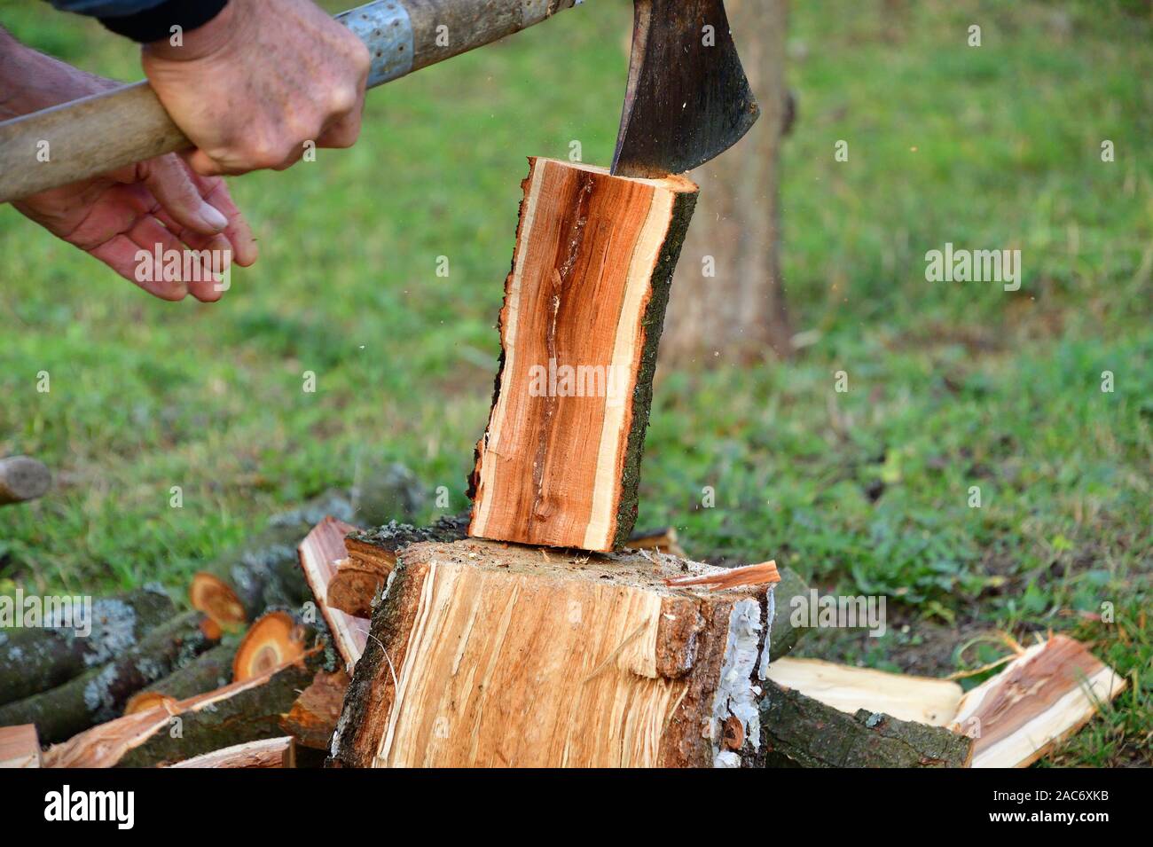 Traditional way of chopping wood with an ax in the village Stock Photo ...