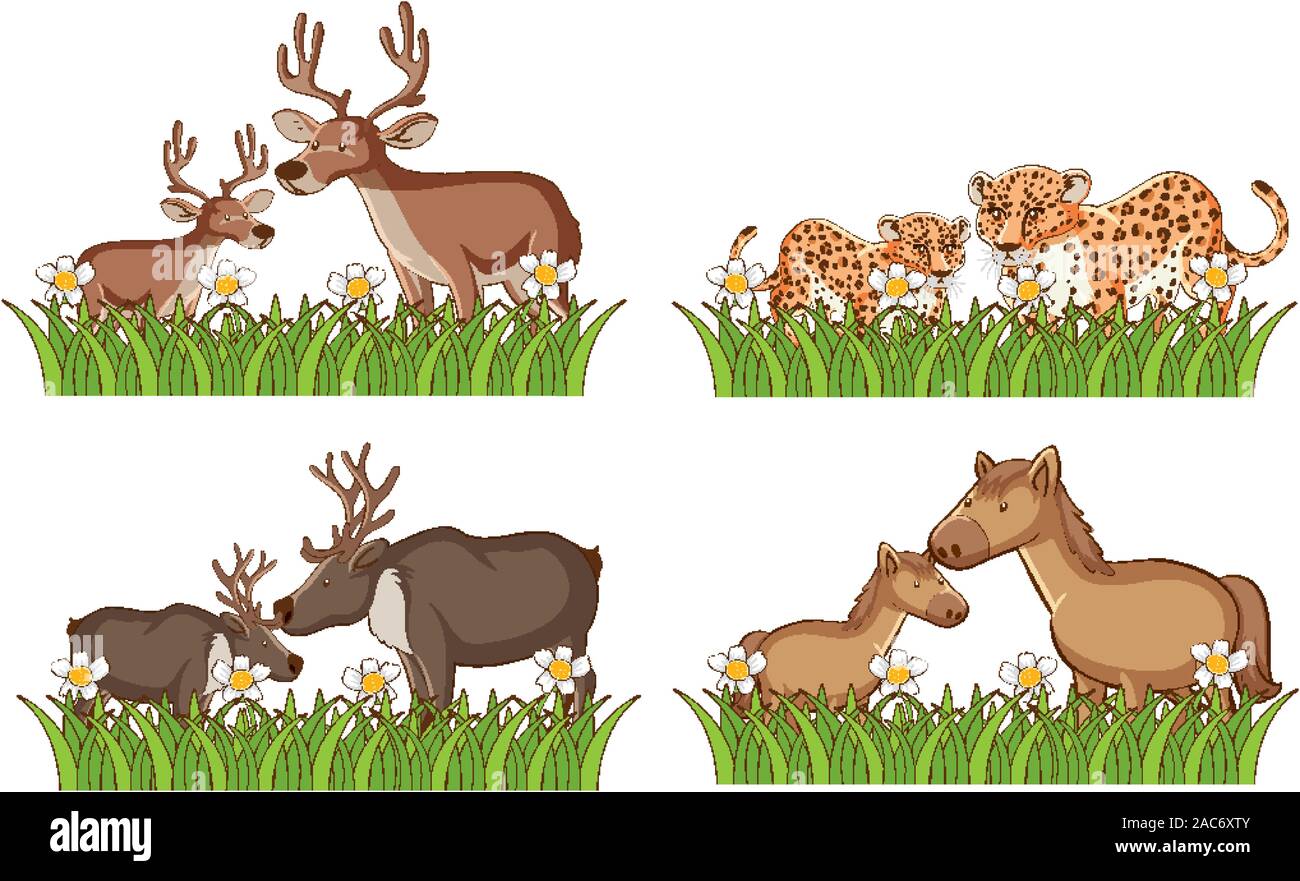 Four types of animals in the garden illustration Stock Vector Image ...