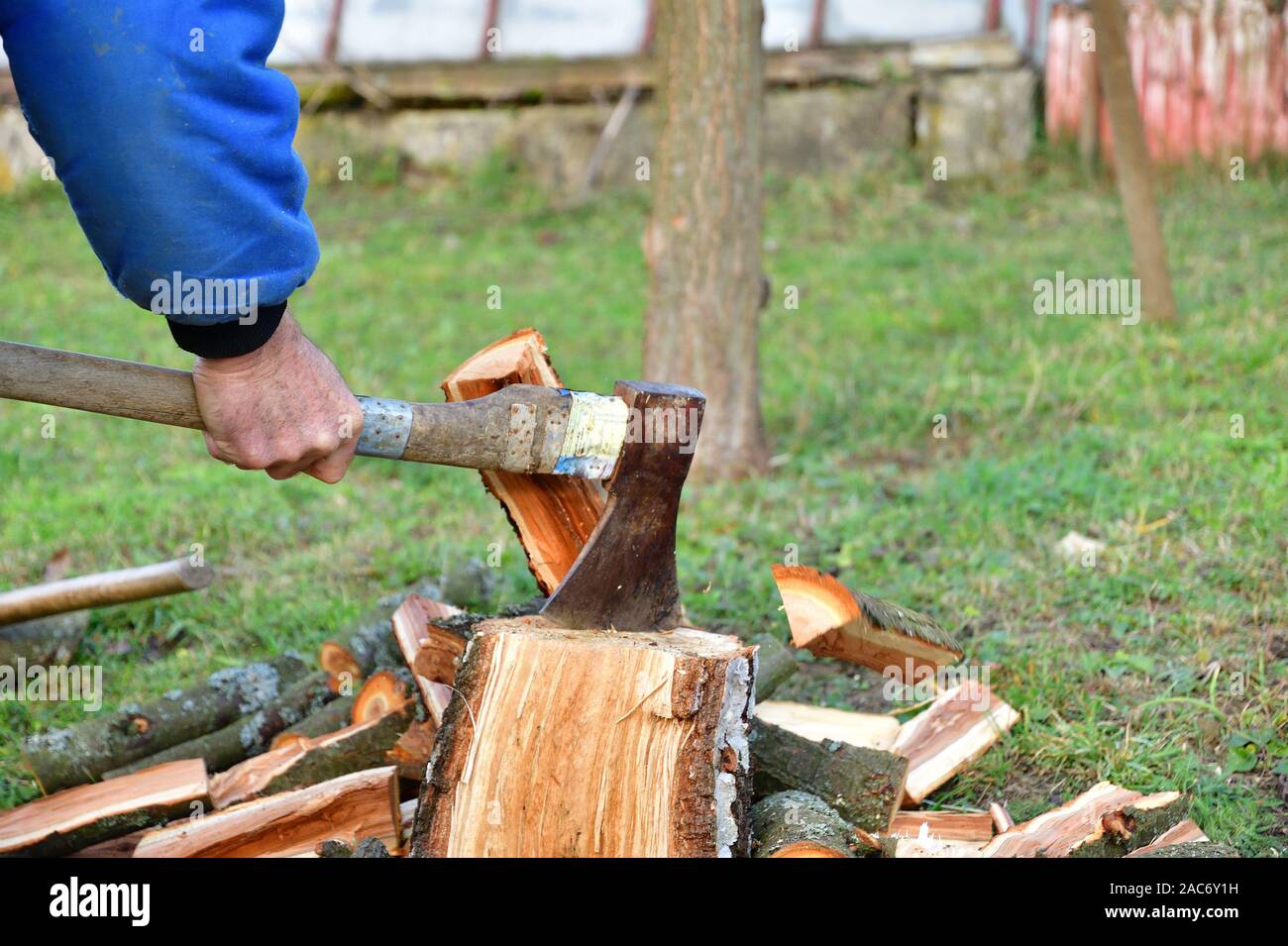 Splitting wood with an ax into smaller logs in traditional way Stock ...