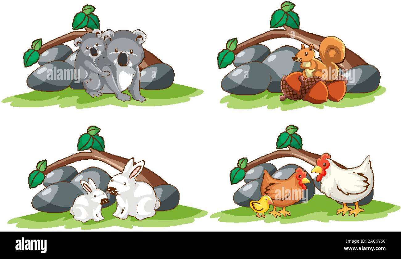 Four types of animals in the garden illustration Stock Vector Image ...