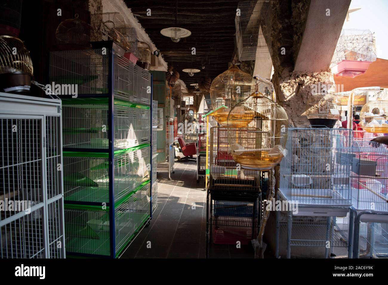 Birds market hi-res stock photography and images - Alamy