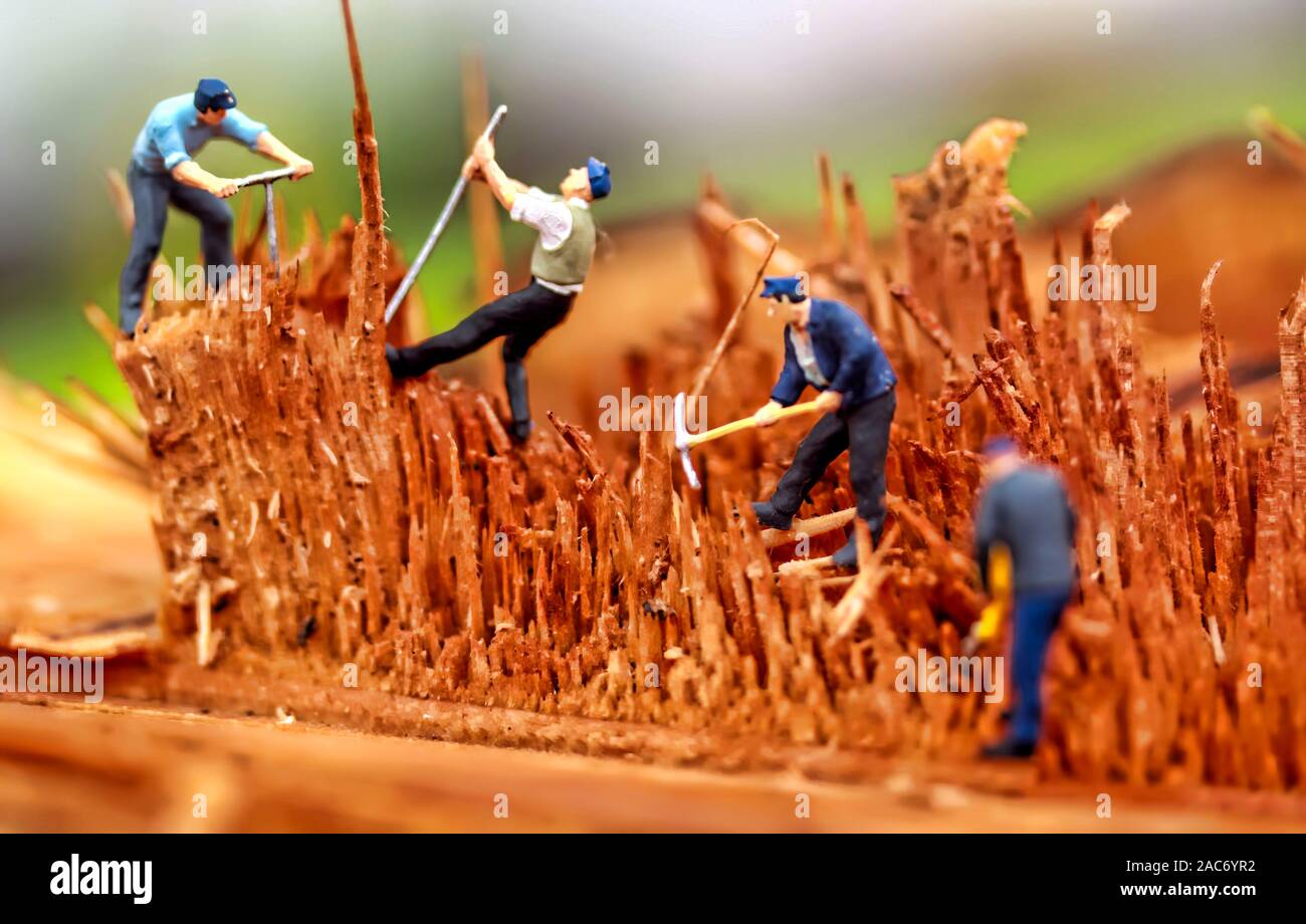 Hard workers hi-res stock photography and images - Alamy