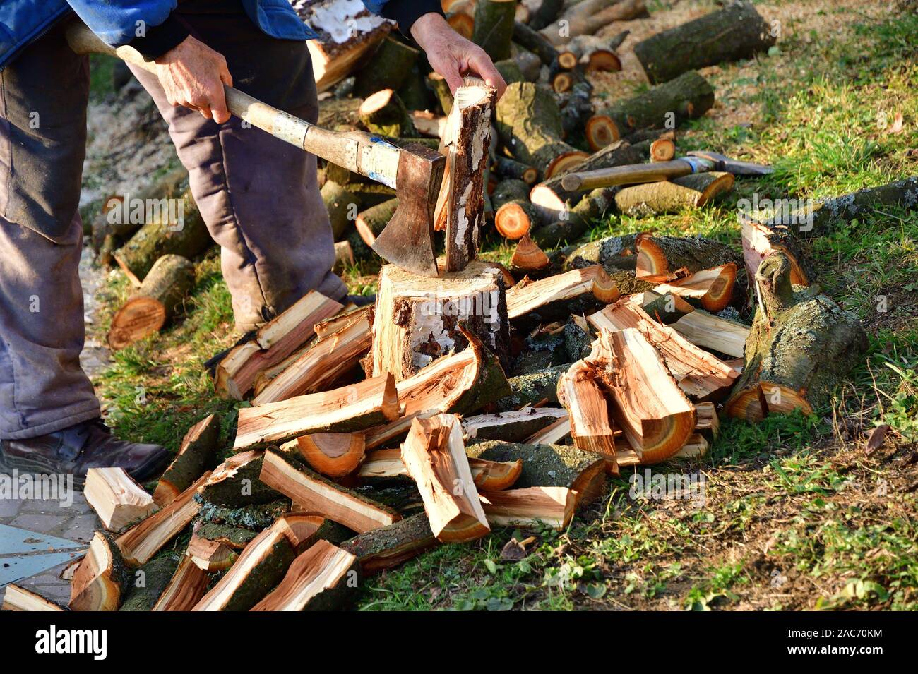 Splitting wood with an ax into smaller logs in traditional way Stock ...