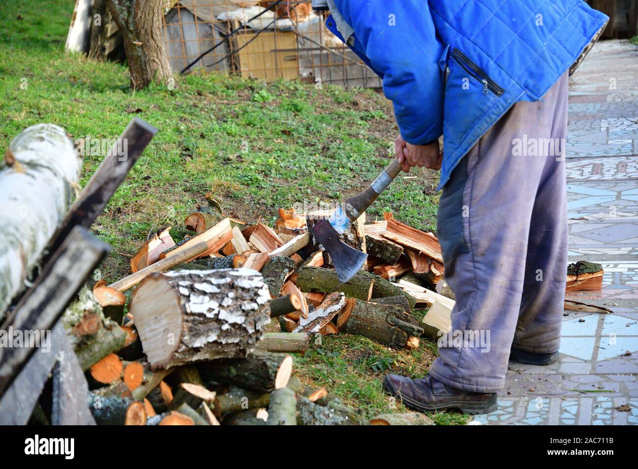 Splitting wood with an ax into smaller logs in traditional way Stock ...