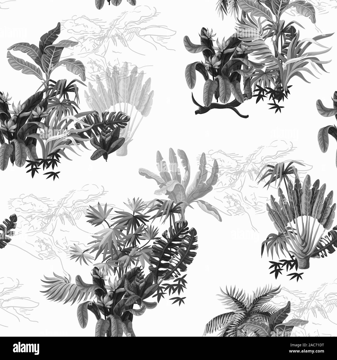 Hawaii jungle Black and White Stock Photos & Images - Alamy