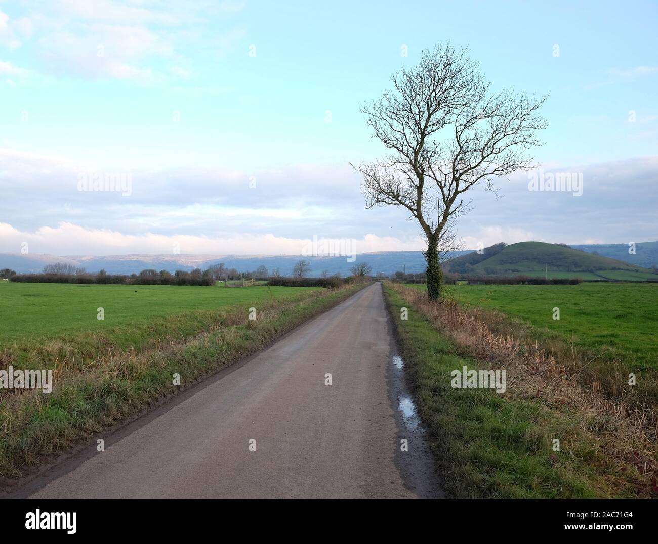 Roadside tree hi-res stock photography and images - Alamy