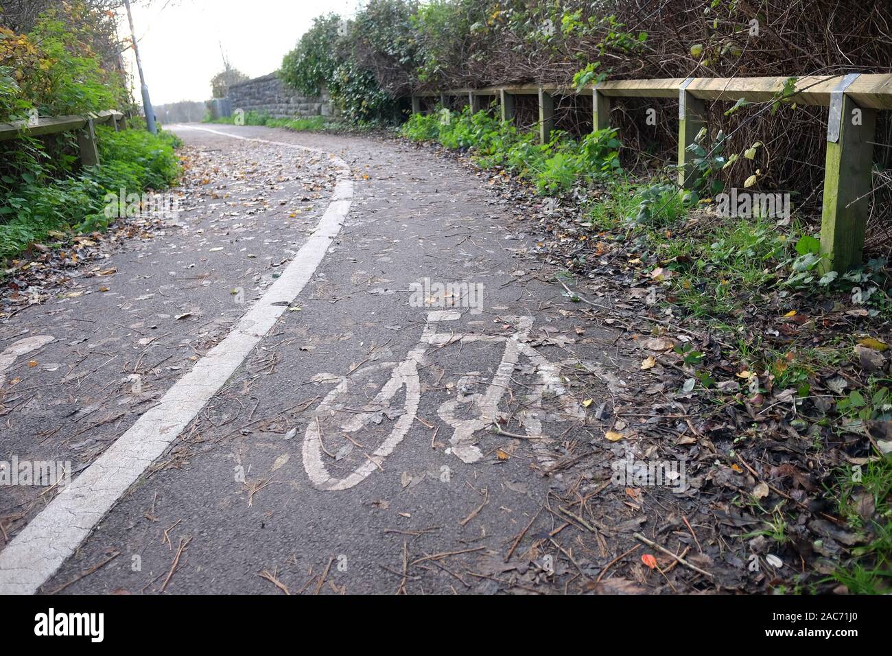 Shared cycle hi-res stock photography and images - Alamy