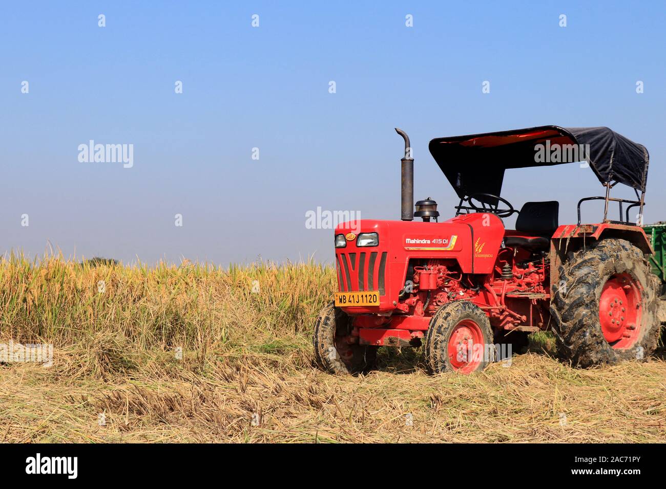 Indian tractor in rice paddy hi-res stock photography and images - Alamy