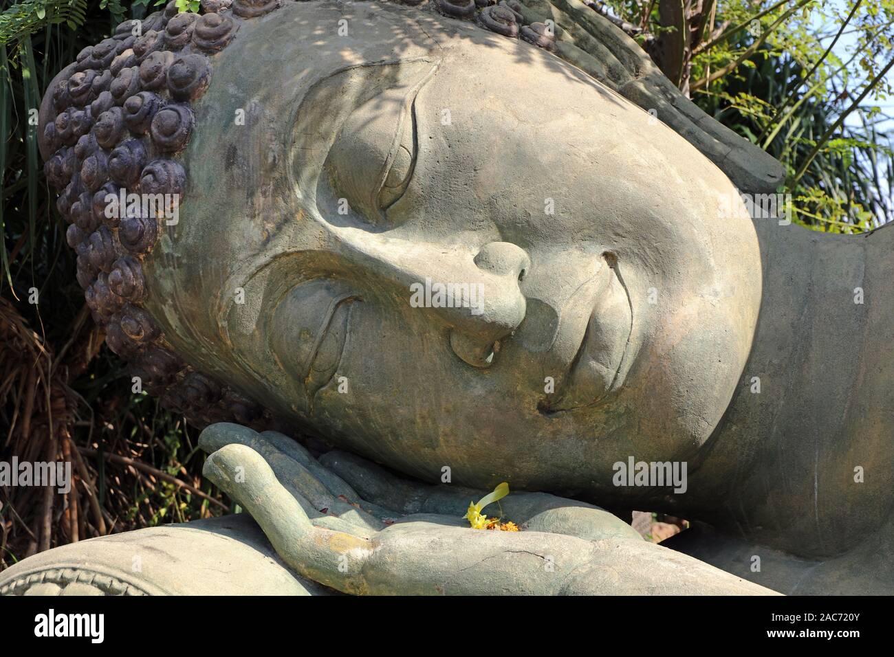 Figut hi-res stock photography and images - Alamy