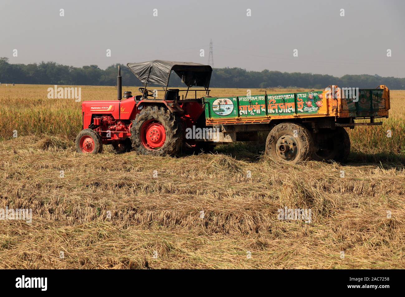 Swift rice hi-res stock photography and images - Alamy