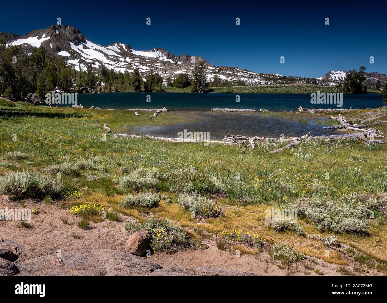 Sierra Nevada's Frog Lake at mid-day in the summer, featuring rocks ...