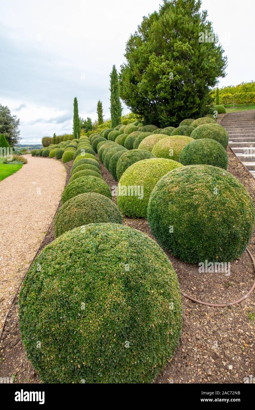 Boxwood balls hi-res stock photography and images - Alamy
