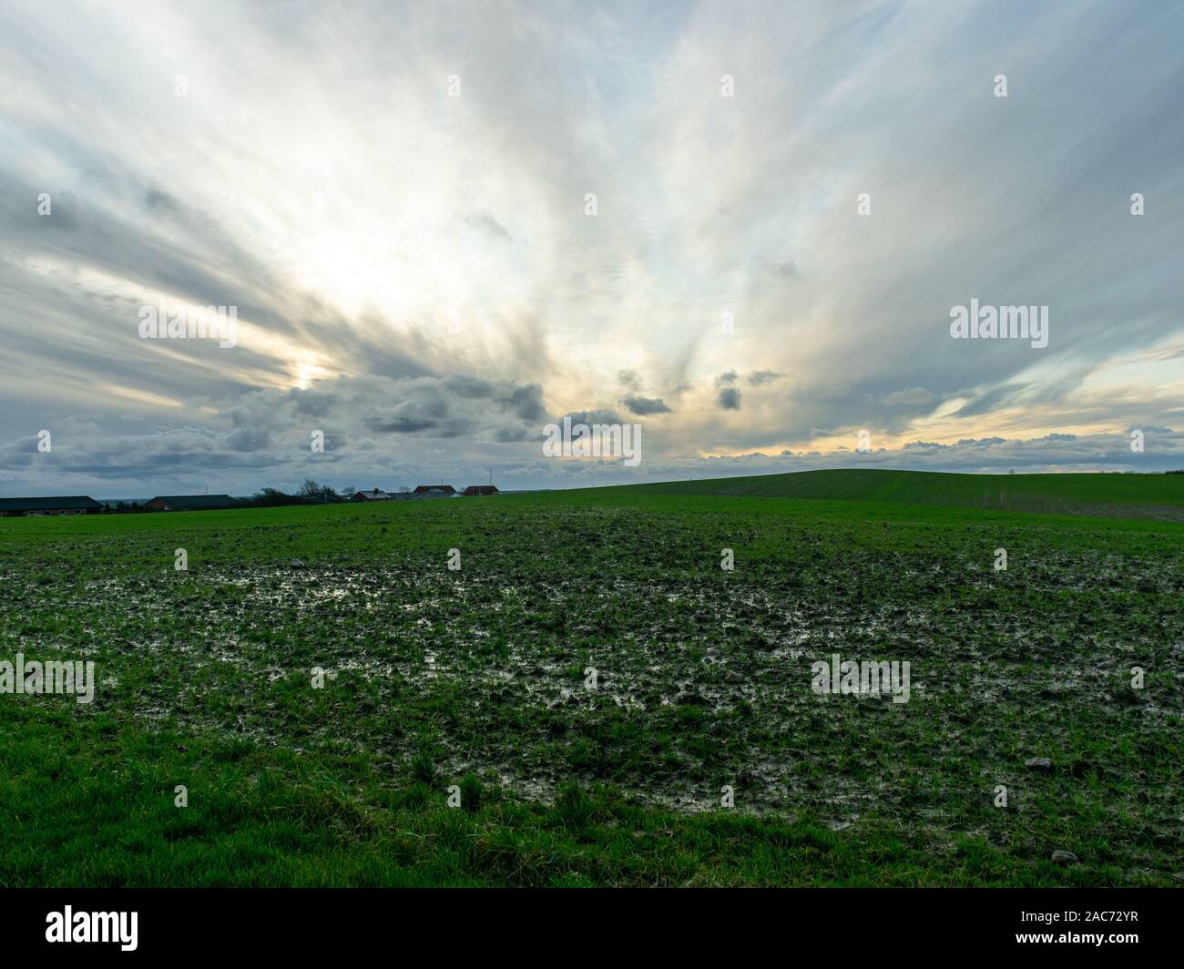 a simple landscape with a green cereal field and a beautiful sky Stock ...