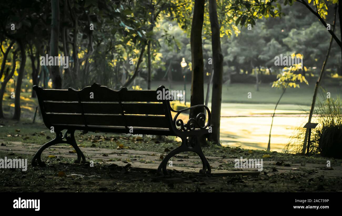 Empty wooden park bench overlooking a lake or pond . Relaxing peaceful ...