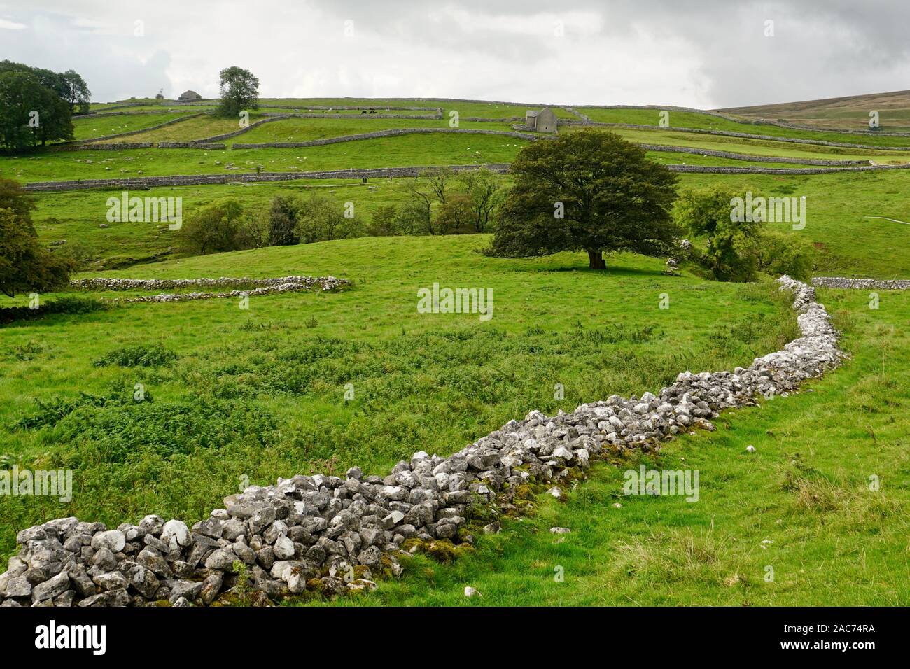 Dry stone walls in the Yorkshire Dales National Park, North Yorkshire ...