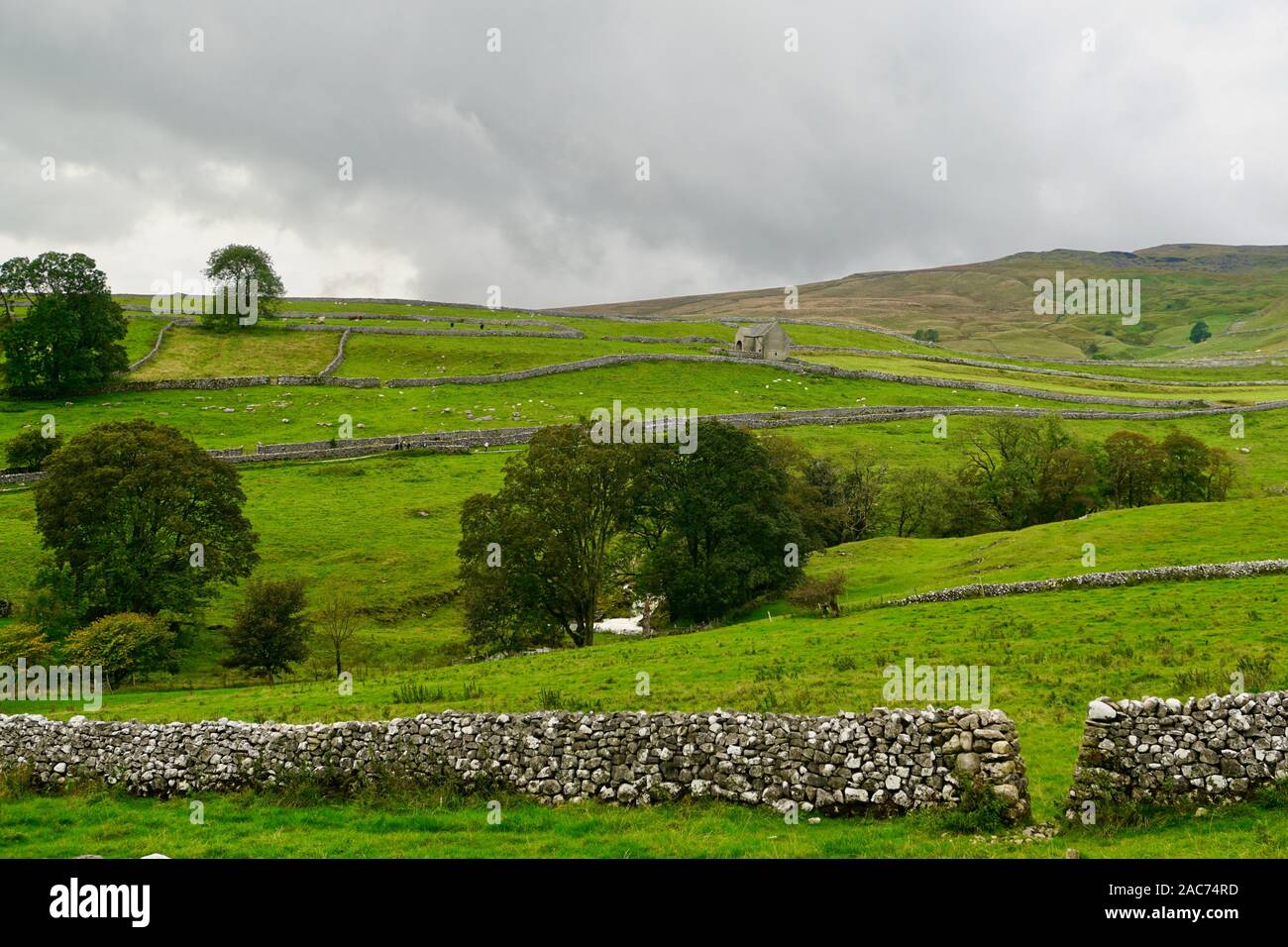 Dry stone walls in the Yorkshire Dales National Park, North Yorkshire ...