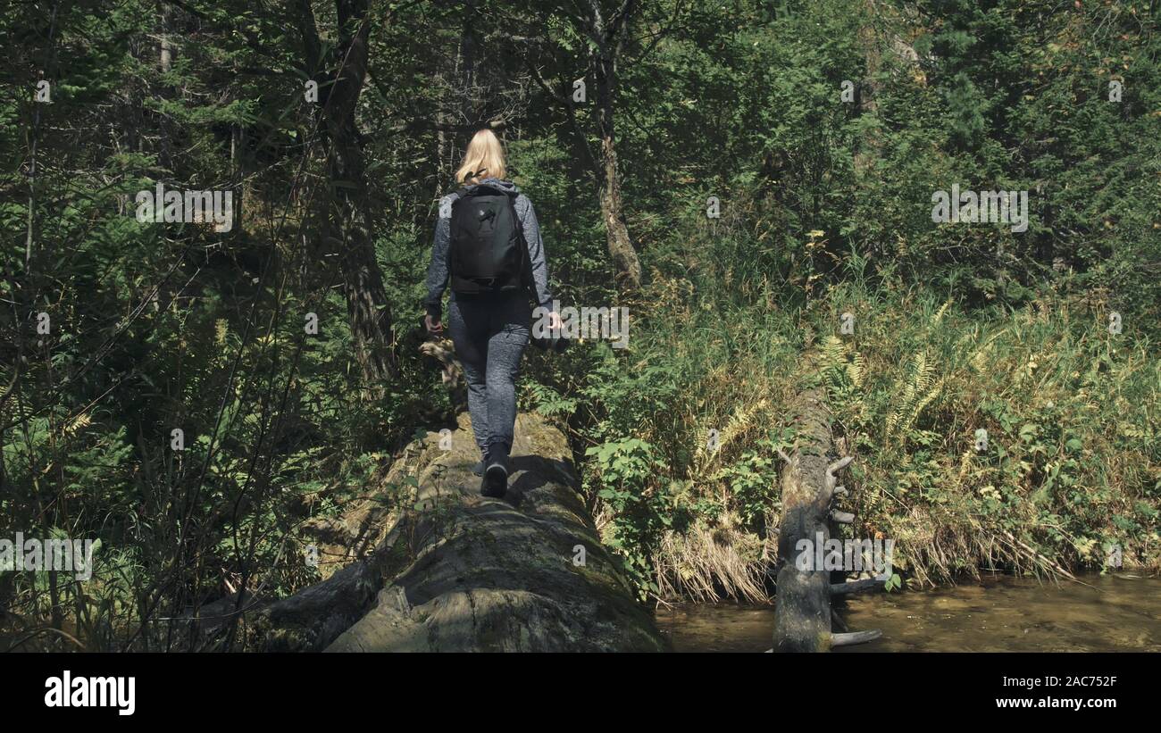 Traveler photographing scenic view in forest river. Wood bridge fallen ...