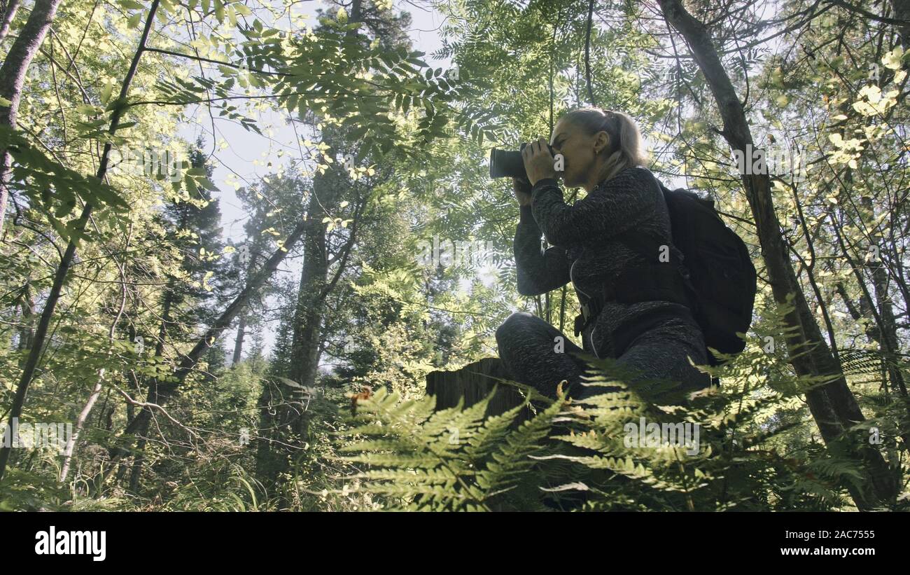 Traveler photographing scenic view in forest. One caucasian woman ...