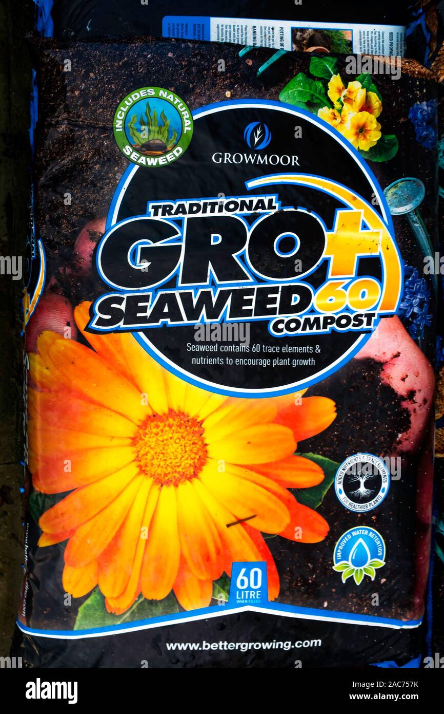 Pile of seaweed hi-res stock photography and images - Alamy