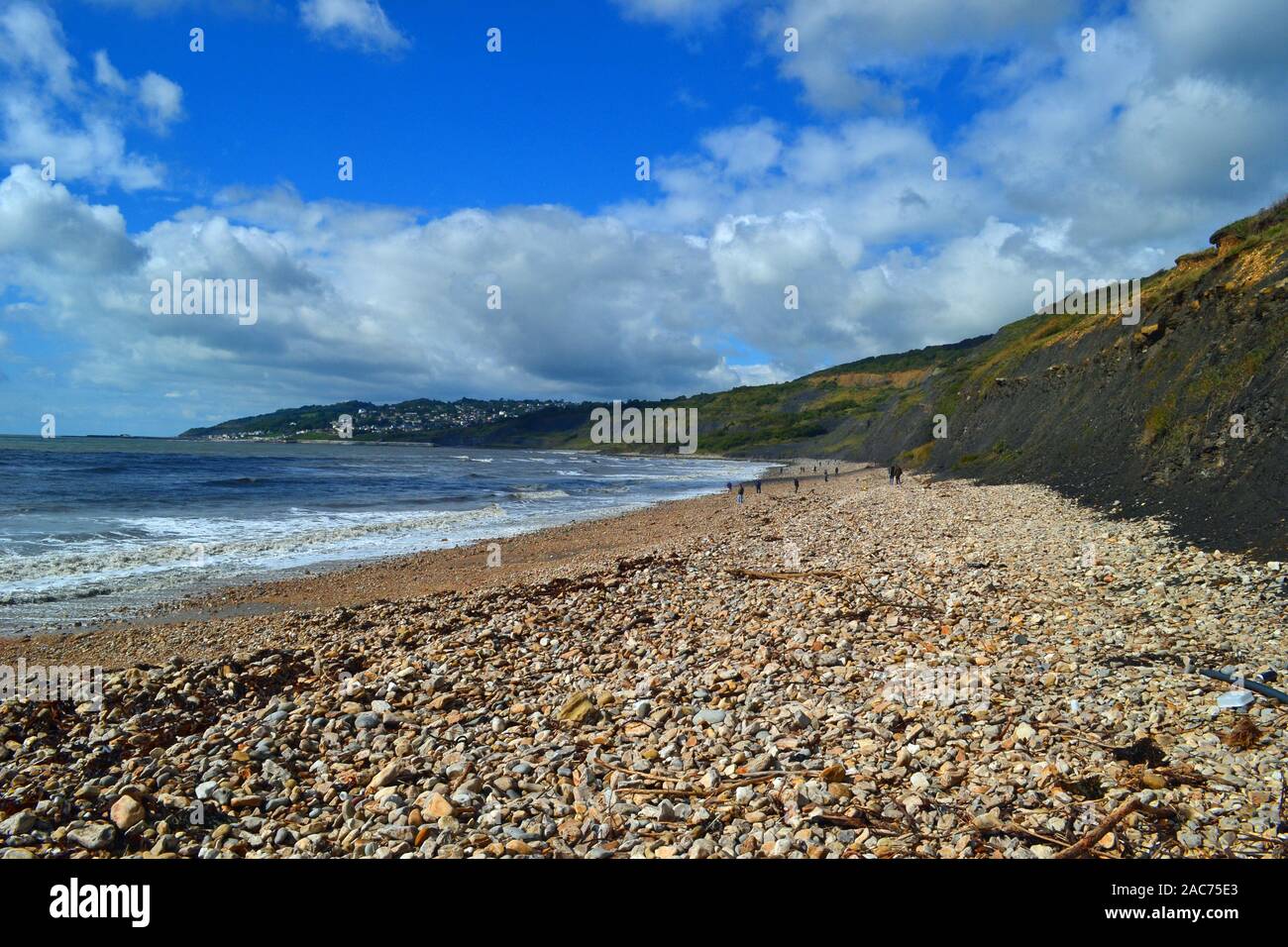 Charmouth Beach, West Beach, Charmouth, Dorset, UK Stock Photo - Alamy