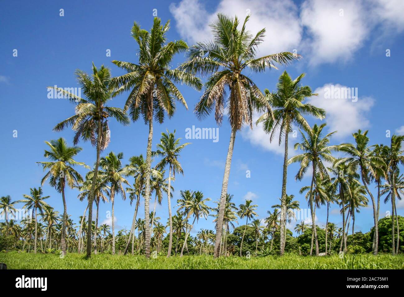 Nukuʻalofa, Tonga, Tongatapu Island in the South Pacific Stock Photo ...