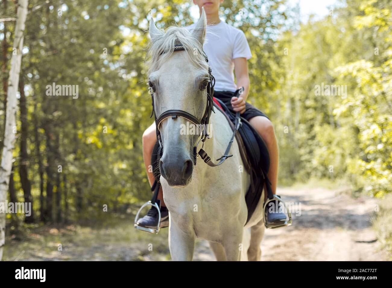 Teen boy riding horse hi-res stock photography and images - Alamy