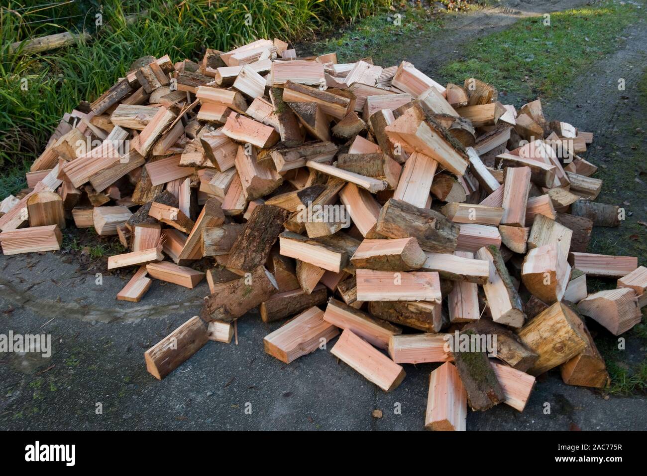 A pile of logs Stock Photo - Alamy