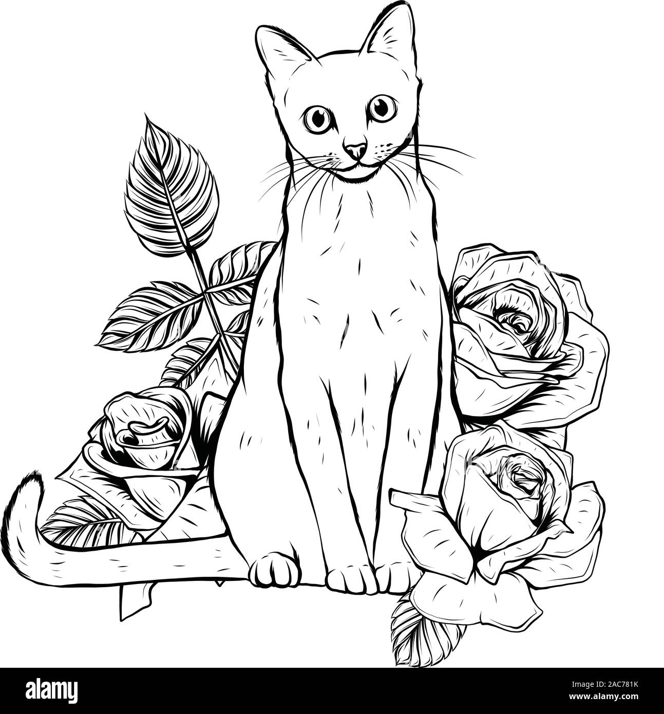 Cat doodle hi-res stock photography and images - Alamy