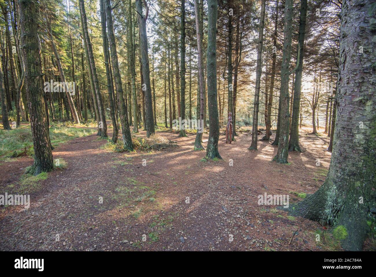 Pendle Sculpture Trail Barley Stock Photo - Alamy