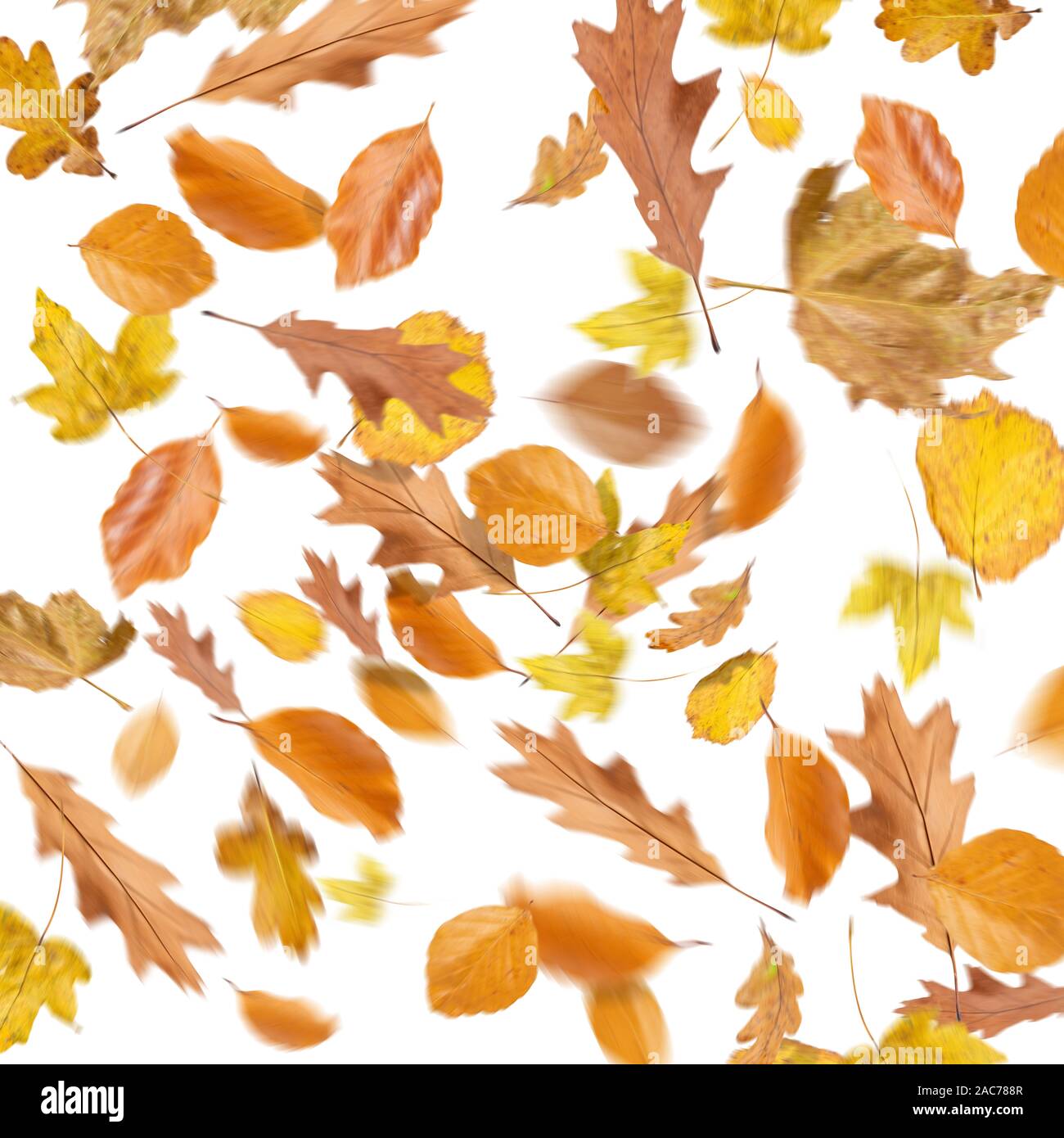 Frame sale thanksgiving background Cut Out Stock Images & Pictures - Alamy