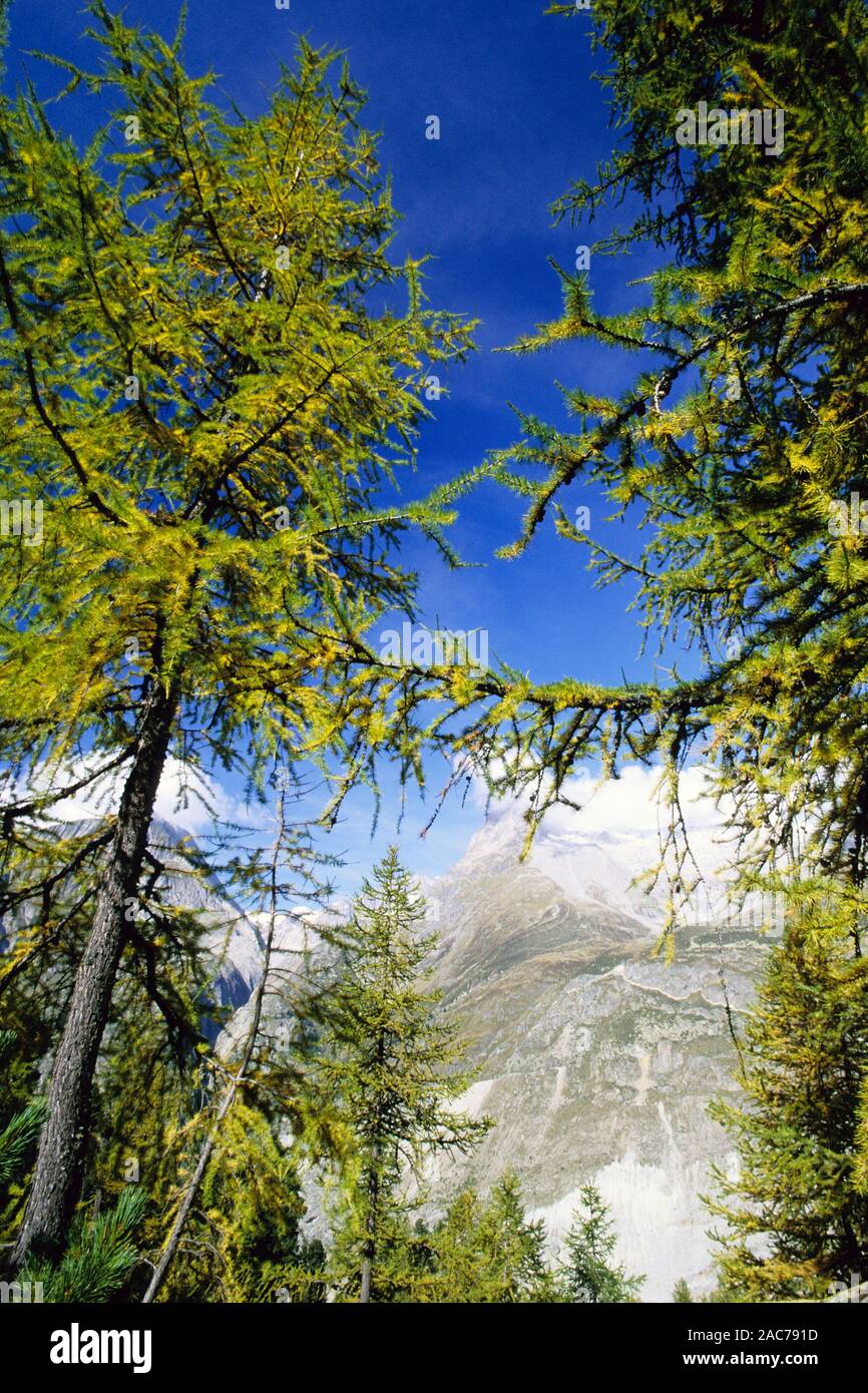 Walliser landschaft hi-res stock photography and images - Alamy