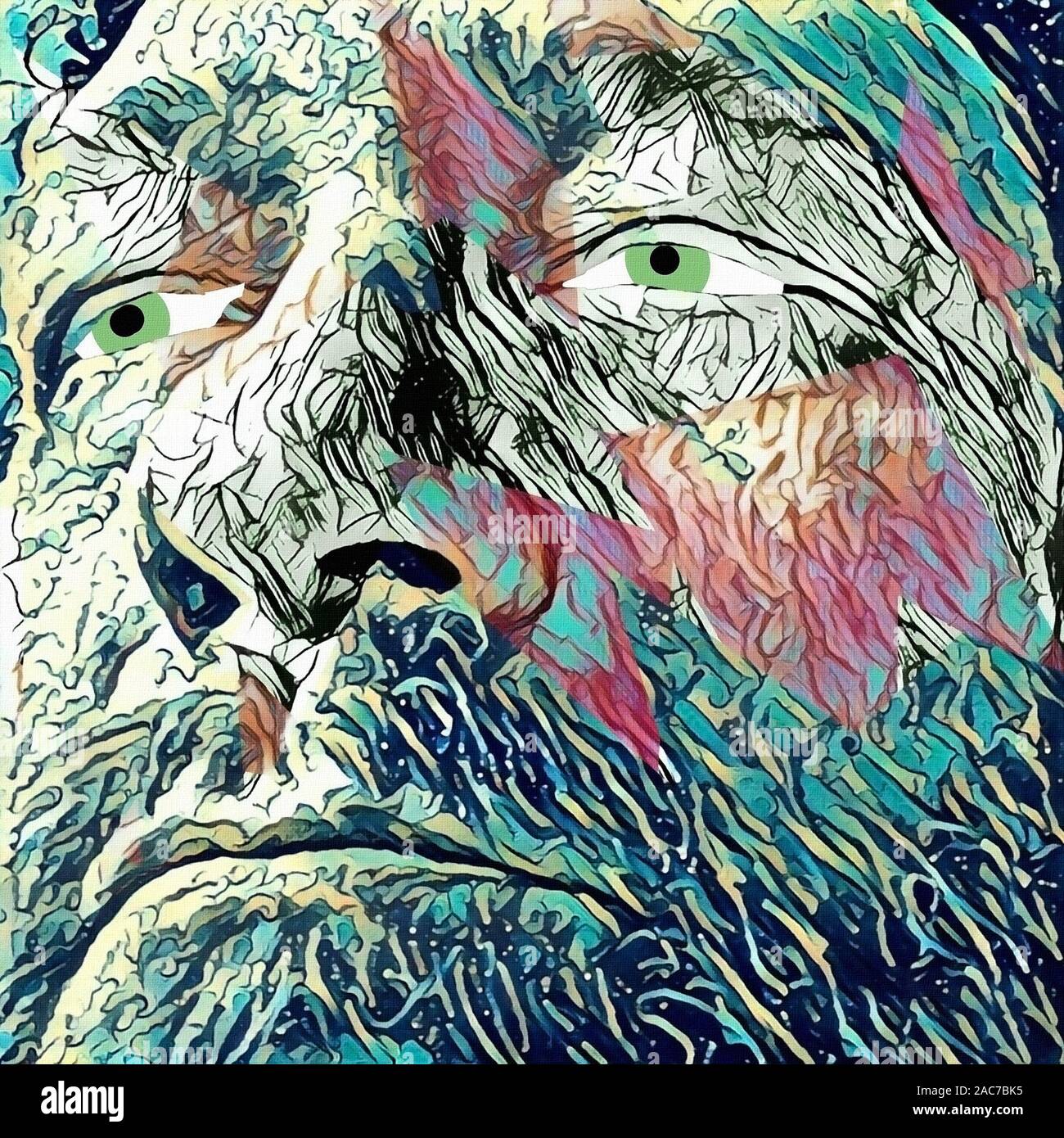 Digital painting. Wise man's face Stock Photo - Alamy