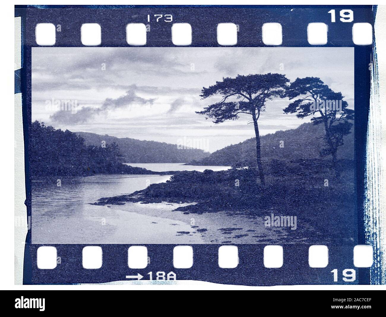 Cyanotype hi-res stock photography and images - Alamy